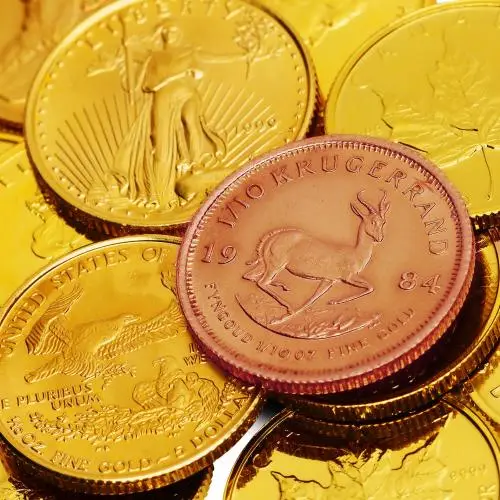 1/10oz Gold Bullion Coin Minty | Chards