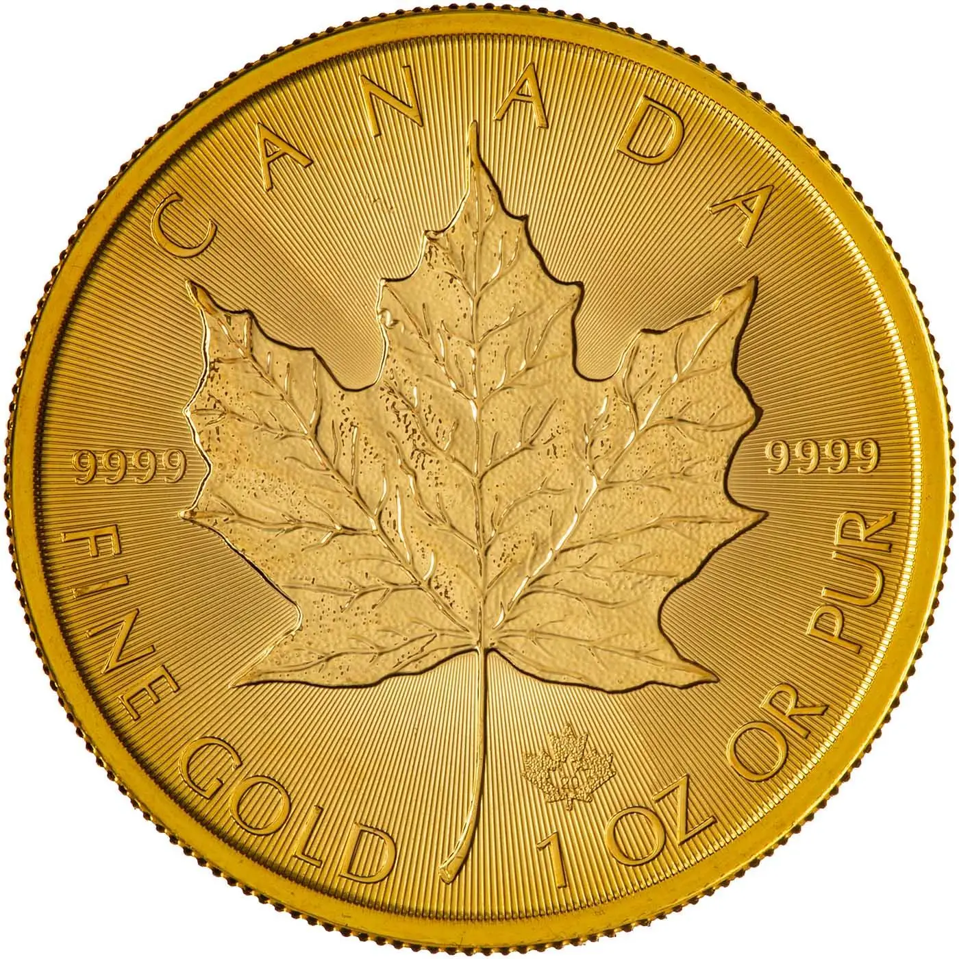 2020 Gold Maple Leaf 1 oz $50 Bullion Coin | Chards