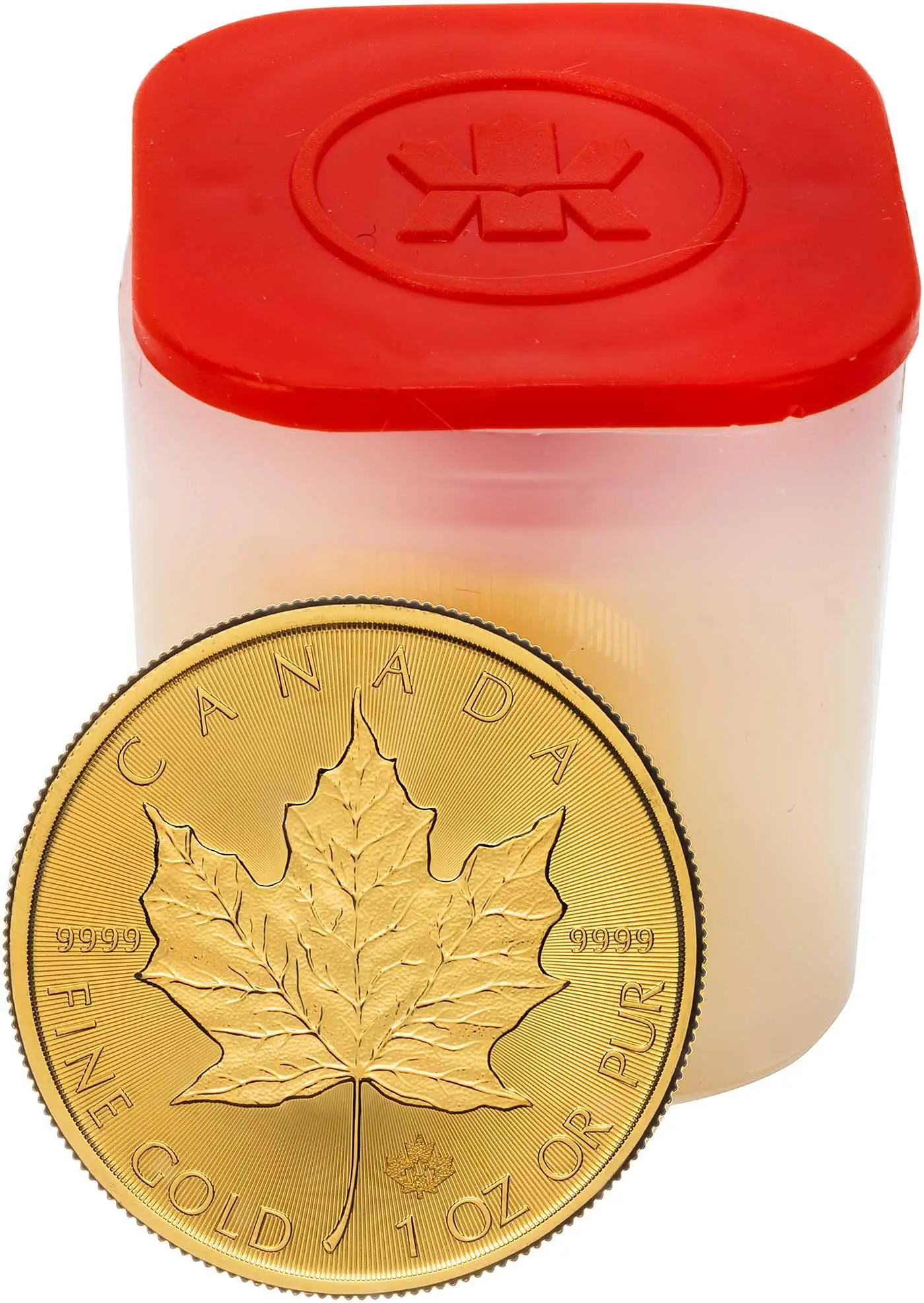 2023 Maple Canadian Gold Coin | Chards - From £1,922.99