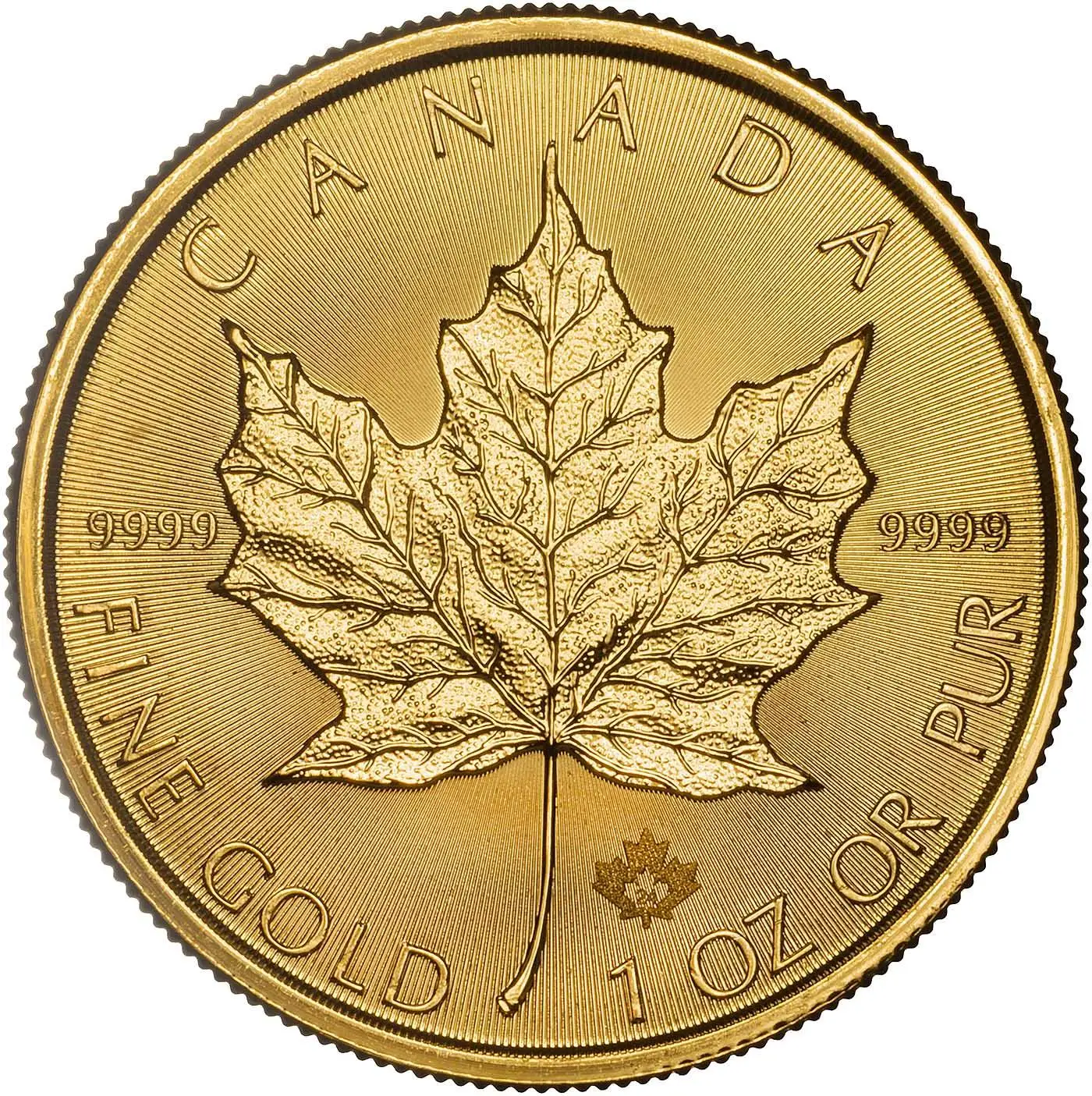 2024 Maple Canadian Gold Coin | Chards - From £2,325.16