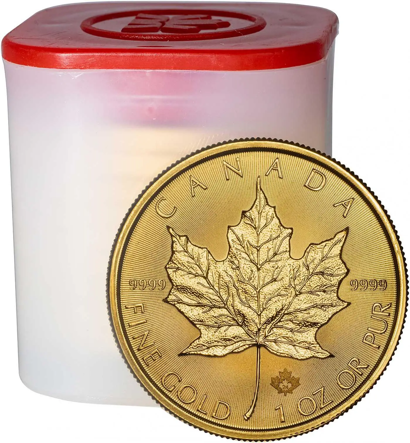 2024 Canadian Maple Leaf 1 Ounce - 10 Gold Coins | Chards