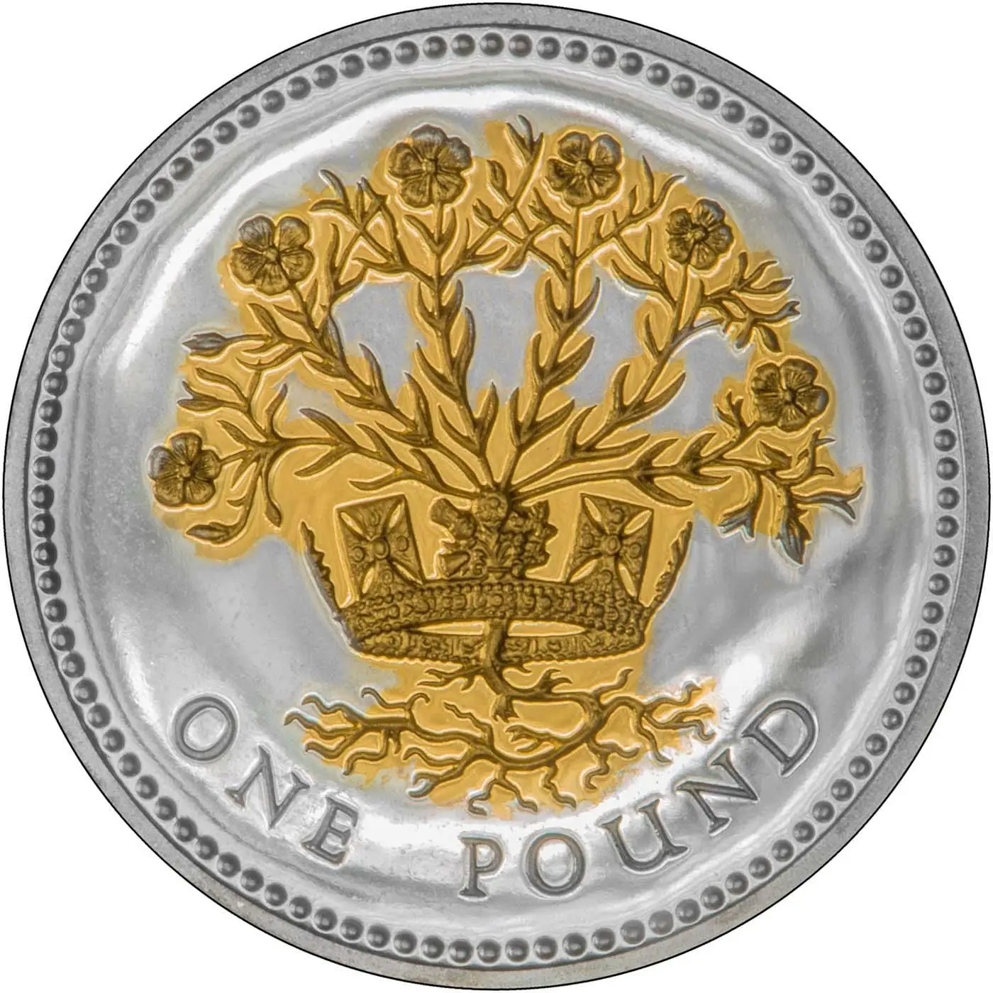 2008 25th Anniversary Silver Proof £1 Coin Set | Chards