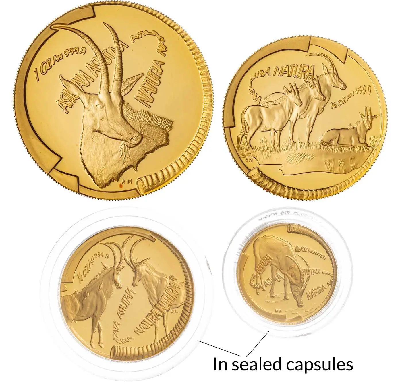 2000 Gold Proof Antelope 4 Coin Set | Chards - £4,113.25