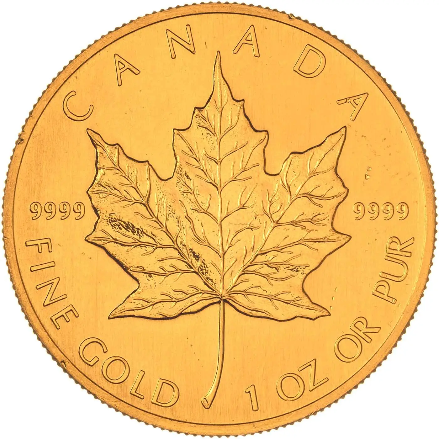 1991 Gold Maple Leaf 1 oz $50 Bullion Coin | Chards