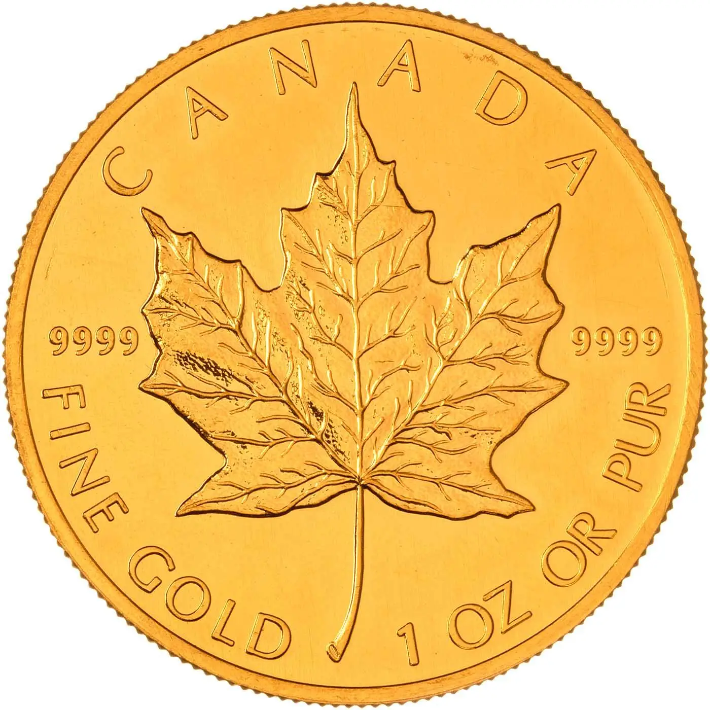 1995 Gold Maple Leaf 1 oz $50 Bullion Coin | Chards