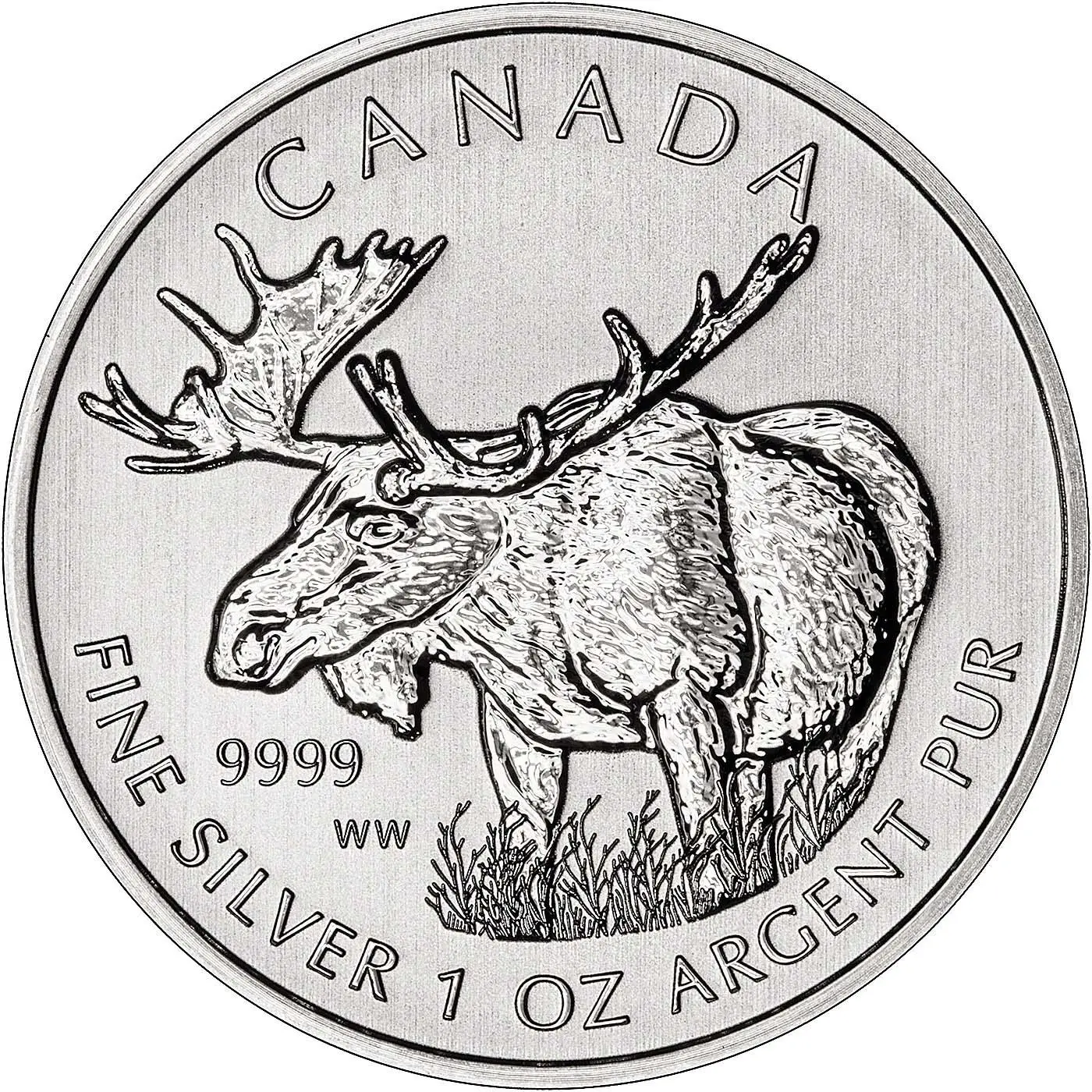 2012 Canadian Silver Majestic Moose 1 oz Coin | Chards