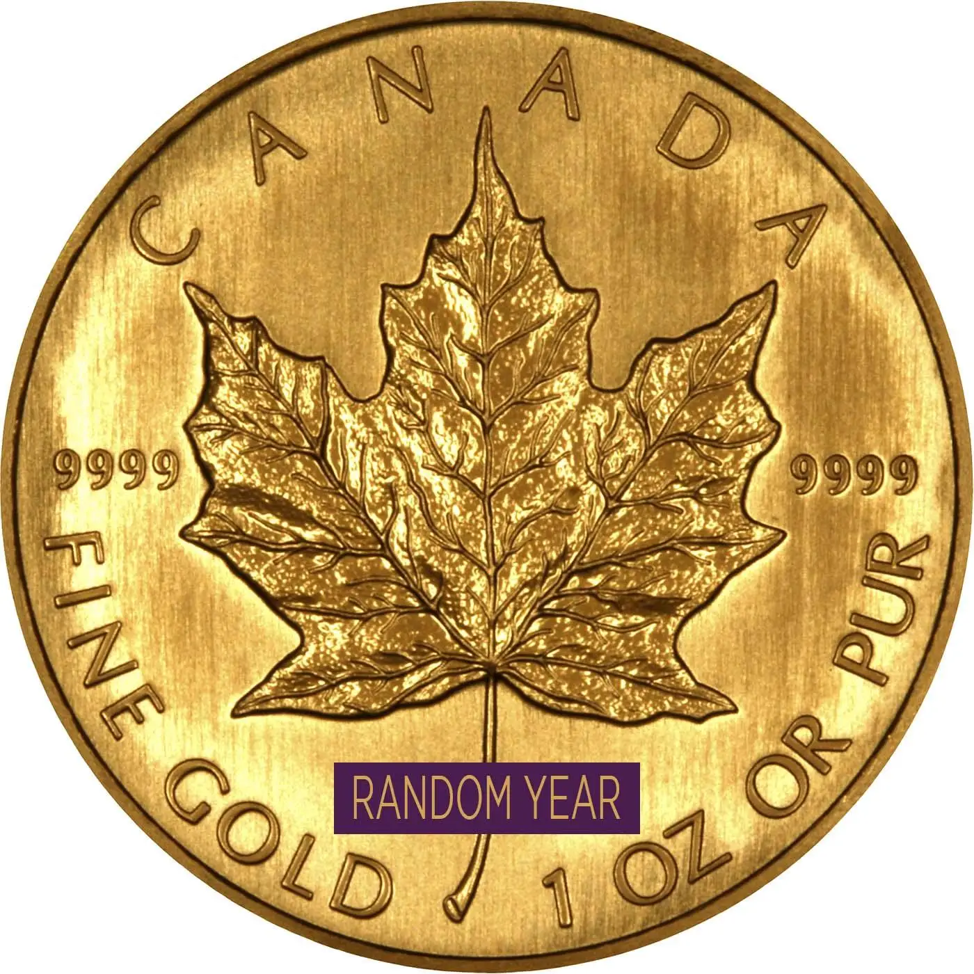 1 oz Gold Maple Coin l Best Value | Chards - From £1,615.36