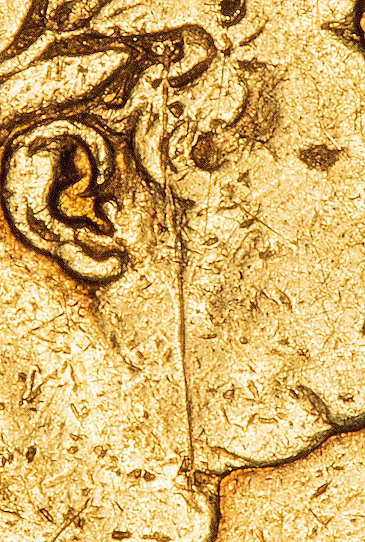 1817 Half Sovereign George III Shield London | Chards